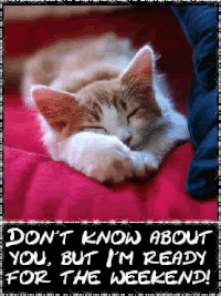 Weekend GIFs - Get the best gif on GIFER