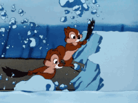 Chip GIFs - Get the best gif on GIFER