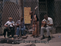Mandolin GIFs - Get the best gif on GIFER
