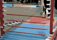 Solution GIFs - Get the best gif on GIFER