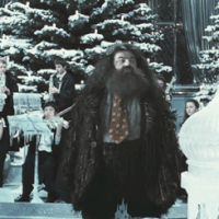 Hagrid GIFs - Get the best gif on GIFER