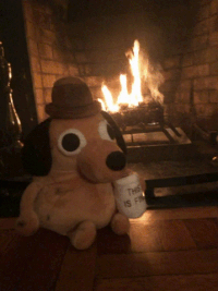 Assurance GIFs - Get the best gif on GIFER