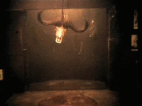 Nin GIFs - Get the best gif on GIFER