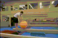 Balancing GIFs - Get the best gif on GIFER
