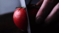 Tomatos GIFs - Get the best gif on GIFER