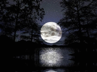 River GIFs - Get the best gif on GIFER