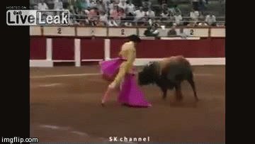 Bullflip GIFs - Get the best gif on GIFER