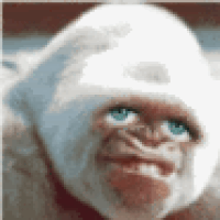 Wink GIFs - Get the best gif on GIFER