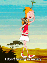 Phineas flynn GIFs - Get the best gif on GIFER