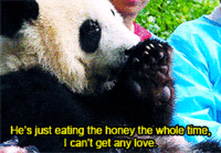 Perdoname GIFs - Get the best gif on GIFER