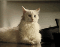 Sonar GIFs - Get the best gif on GIFER