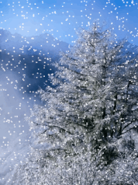 Landscape GIFs - Get the best gif on GIFER