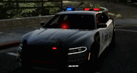 Police GIFs - Get the best gif on GIFER