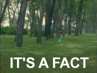 Facts GIFs - Get the best gif on GIFER