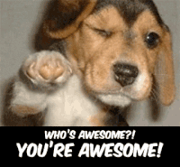 Awsome GIFs - Get the best gif on GIFER