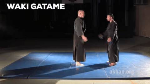 Ninjutsu GIFs - Get the best gif on GIFER