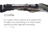 Welsh GIFs - Get the best gif on GIFER