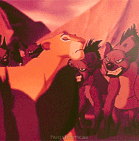 Hyena GIFs - Get the best gif on GIFER