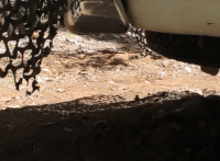 Camo GIFs - Get the best gif on GIFER