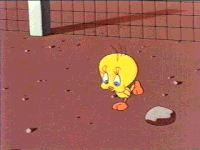 Tweety GIFs - Get the best gif on GIFER