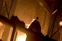 Unscathed GIFs - Get the best gif on GIFER