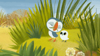 Puffins GIFs - Get the best gif on GIFER