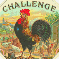 Roosters GIFs - Get the best gif on GIFER