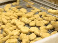 Nuggets GIFs - Get the best gif on GIFER