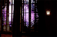 Dim GIFs - Get the best gif on GIFER