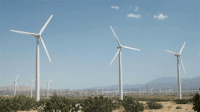 Wind GIFs - Get the best gif on GIFER