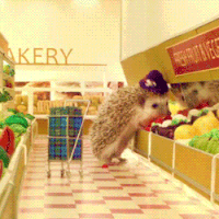 Curiosity GIFs - Get the best gif on GIFER