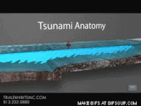 Tsunami GIFs - Get the best gif on GIFER
