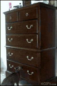 Drawer GIFs - Get the best gif on GIFER