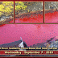 Otp youre lost without me alchemy GIF - Conseguir o melhor gif em GIFER