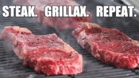 Beef GIFs - Get the best gif on GIFER