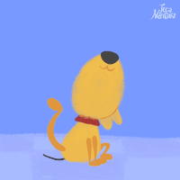 Scratch GIFs - Get the best gif on GIFER