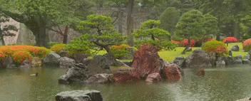 Japanese nature GIF - Conseguir el mejor gif en GIFER