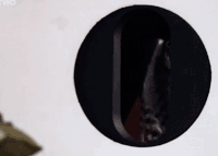 Cramming GIFs - Get the best gif on GIFER