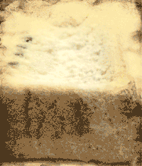 Bacteria GIFs - Get the best gif on GIFER