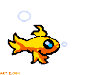 Goldfish GIFs - Get the best gif on GIFER