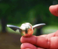 Spinner GIFs - Get the best gif on GIFER