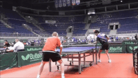 Paddle GIFs - Get the best gif on GIFER