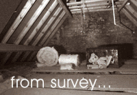 Loft GIFs - Get the best gif on GIFER