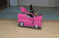 Hander GIFs - Get the best gif on GIFER