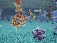 Membrane GIFs - Get the best gif on GIFER