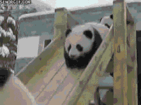 Sliding GIFs - Get the best gif on GIFER