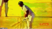 Pakistan GIFs - Get the best gif on GIFER
