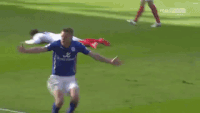 Leicester GIFs - Get the best gif on GIFER