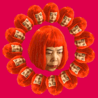 Вклад GIFs - Get the best gif on GIFER