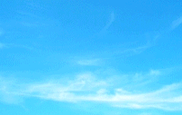 Patch GIFs - Get the best gif on GIFER